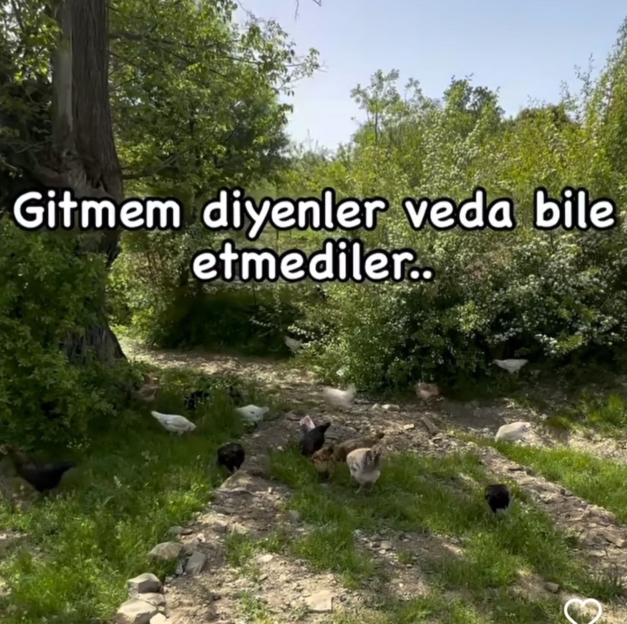 Bitlis’te Beş Minare - Bitlis Haber - Bitlis Son Dakika Haberleri